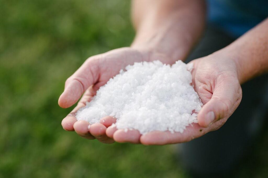 San Juan Island Sea Salt – Made in the San Juans