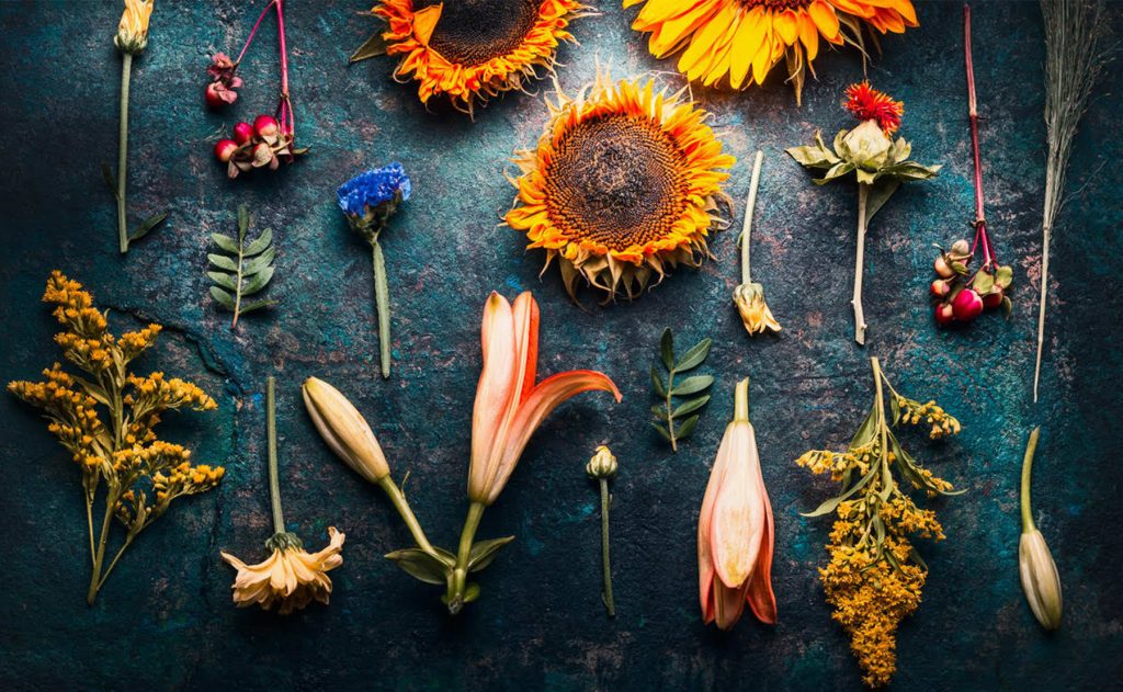 Apotheca Design Field & Flower – Made in the San Juans